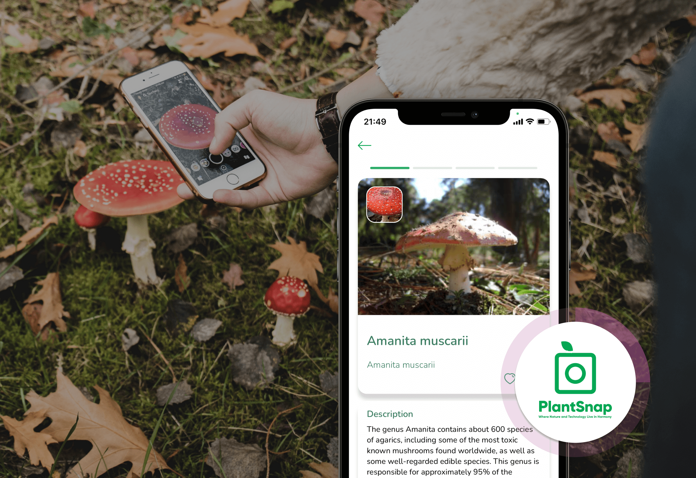 Object Detection Technology: How Can It Benefit Your Business?